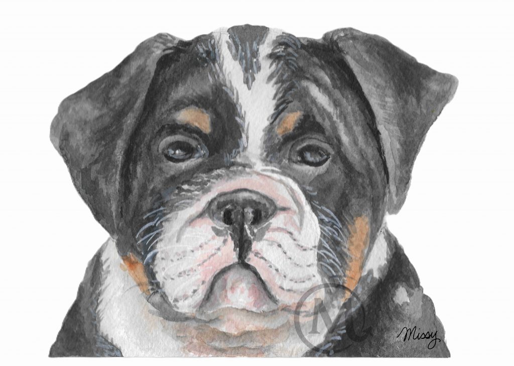 Bruno the Dog