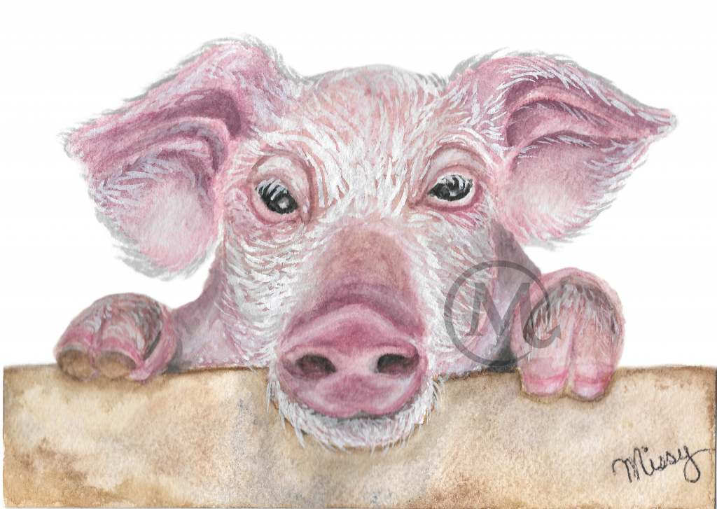 Peter the Pig