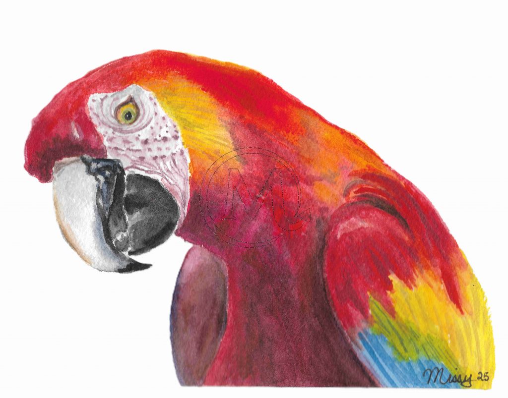 Charlie the Parrot