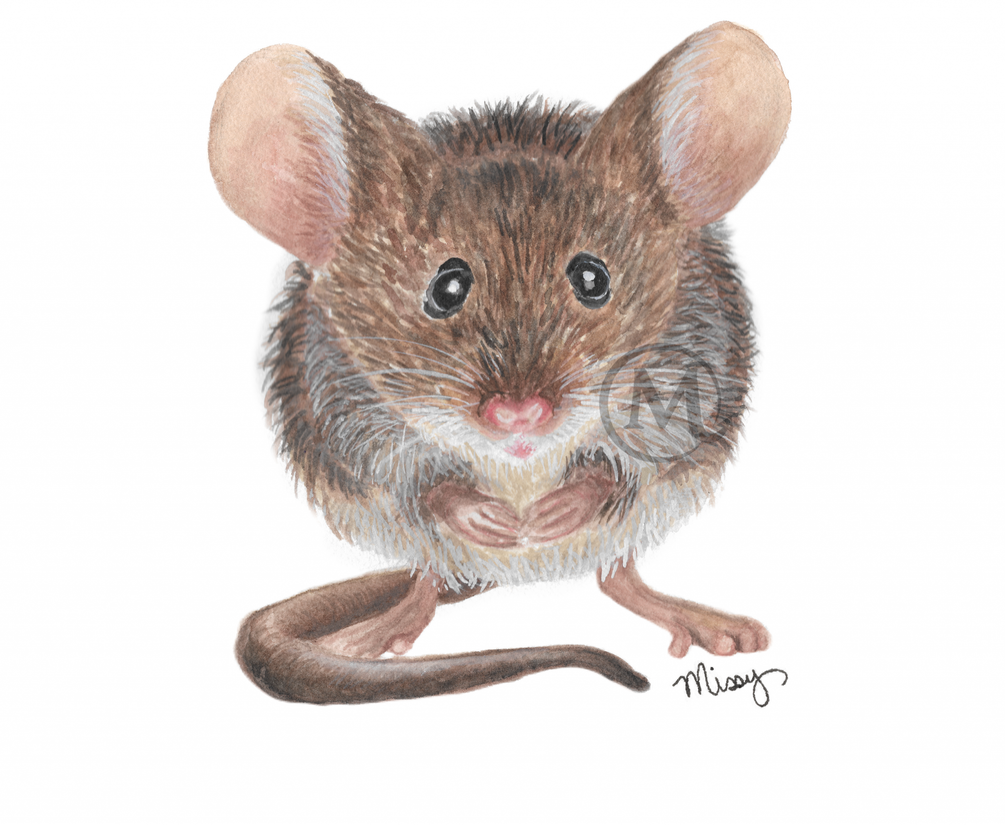 Milo the Mouse